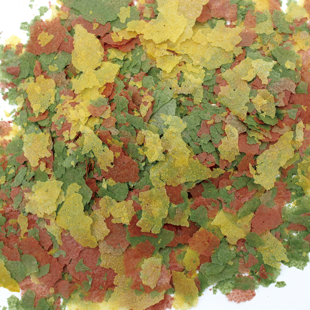 Koi & Coldwater Fish Flake 250gm – Kockney Koi